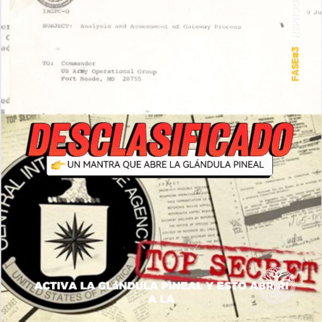 Desbloquea tu Mente Subconsciente con Meditaciones avanzadas Neurohacking - Neurohacking Method