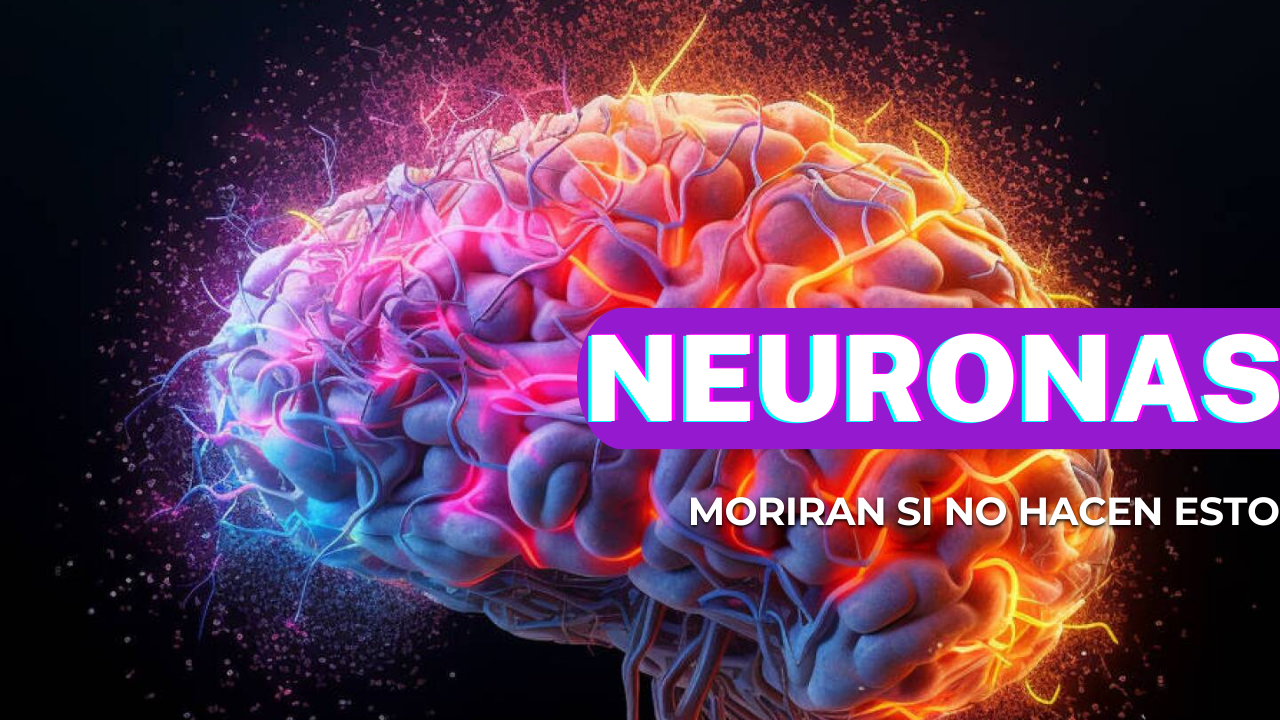 Desbloquea tu Mente Subconsciente con Meditaciones avanzadas Neurohacking - Neurohacking Method